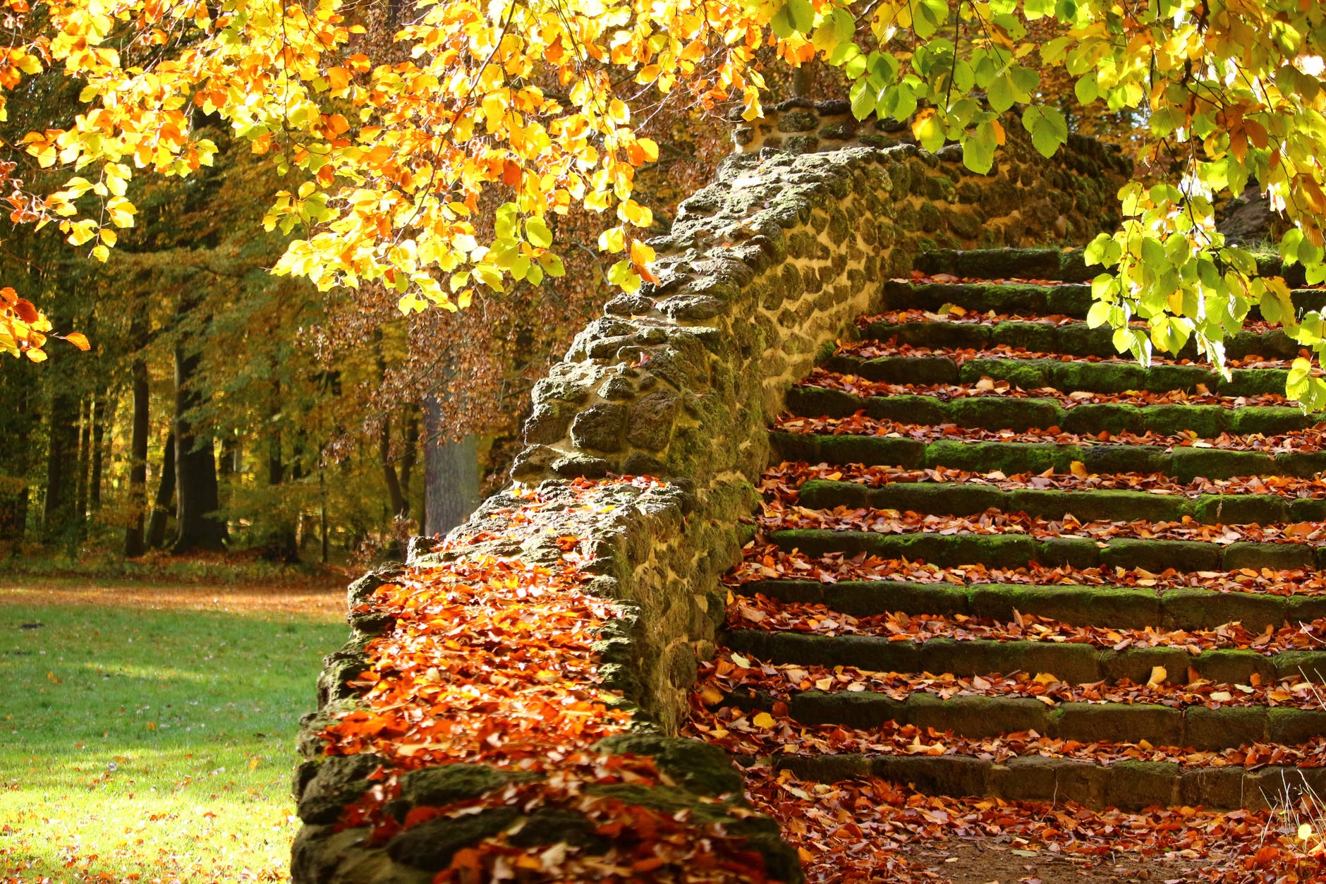 The Many Faces of Fall – NANCY WITH THE LAUGHING FACE